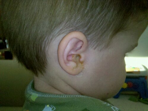 Cooper and his Amazing, Exploding Ear! | Wine Please